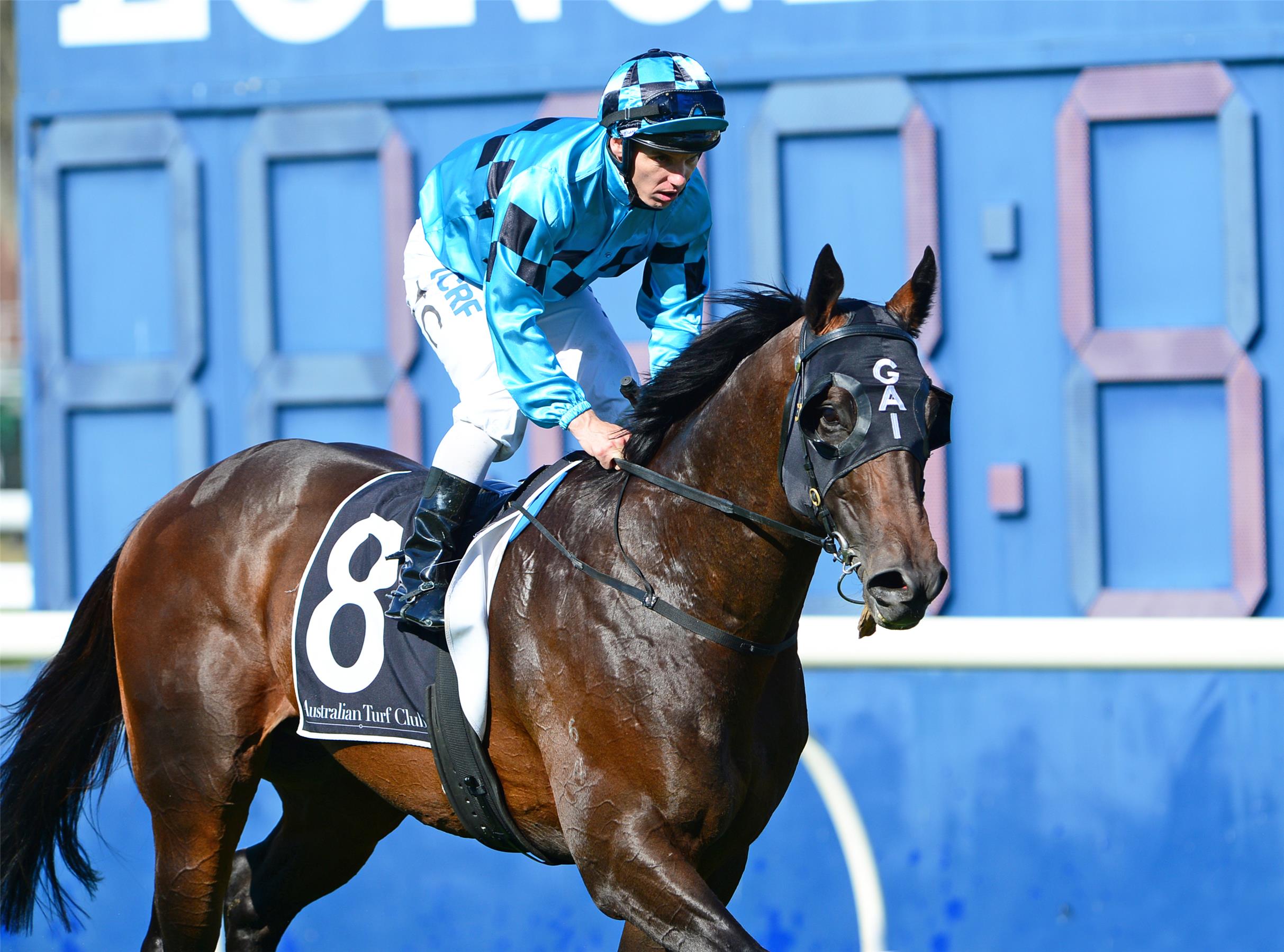 Graduates | Newgate Stud Farm