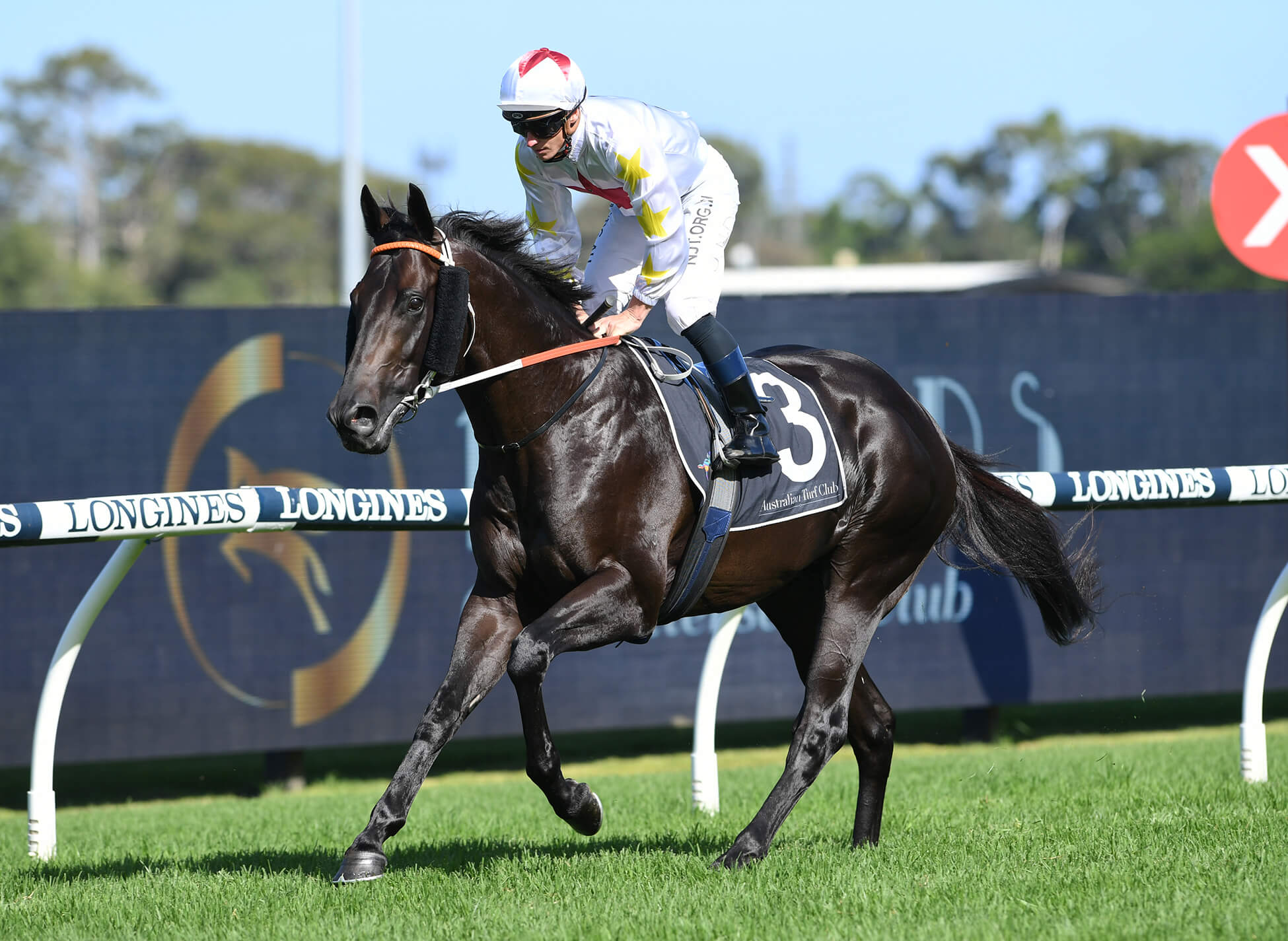 Stallions | Newgate Stud FarmNewgate Stud Farm