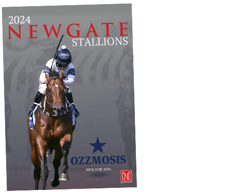 Meet the Team | Newgate Stud Farm